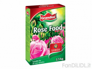 Grandiol Lidl - VolantinoLidl.it